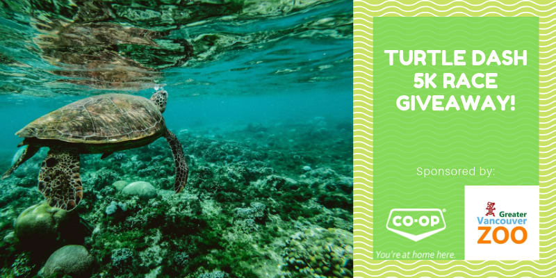 Contests – Mission City Record