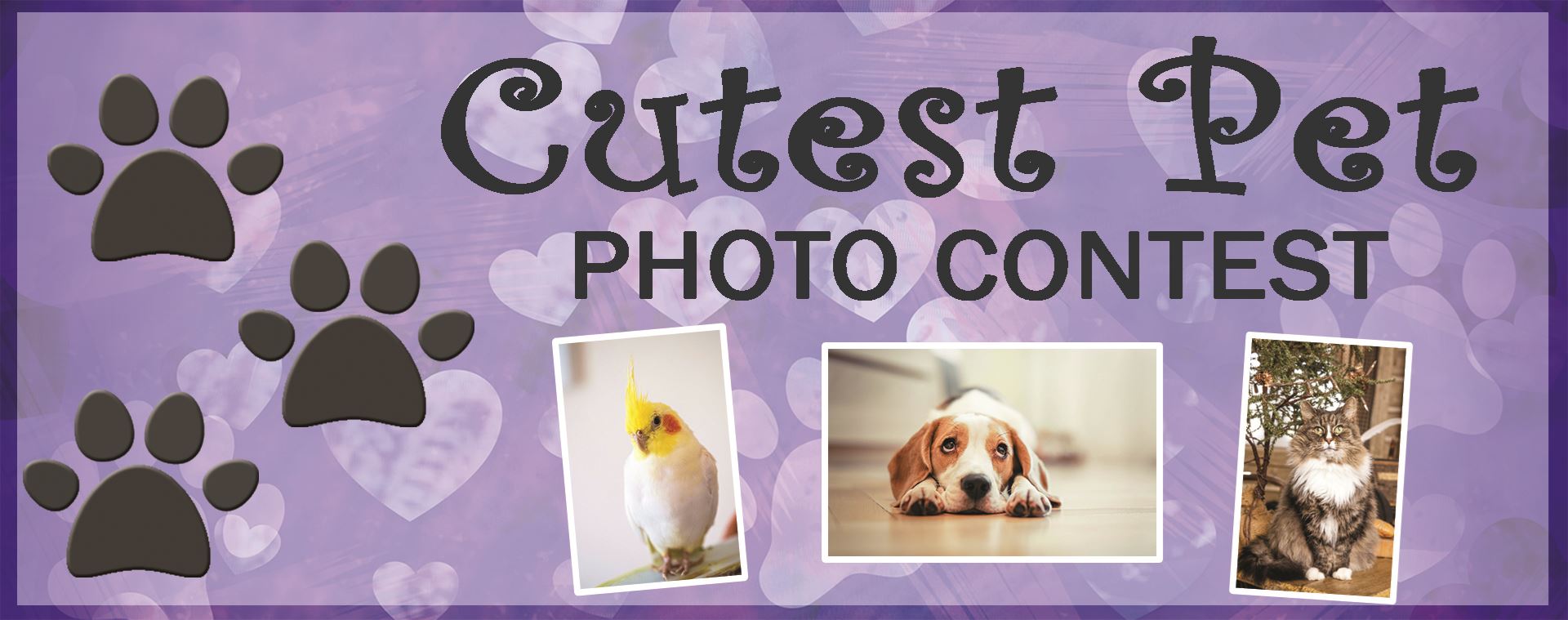 pet photo contest