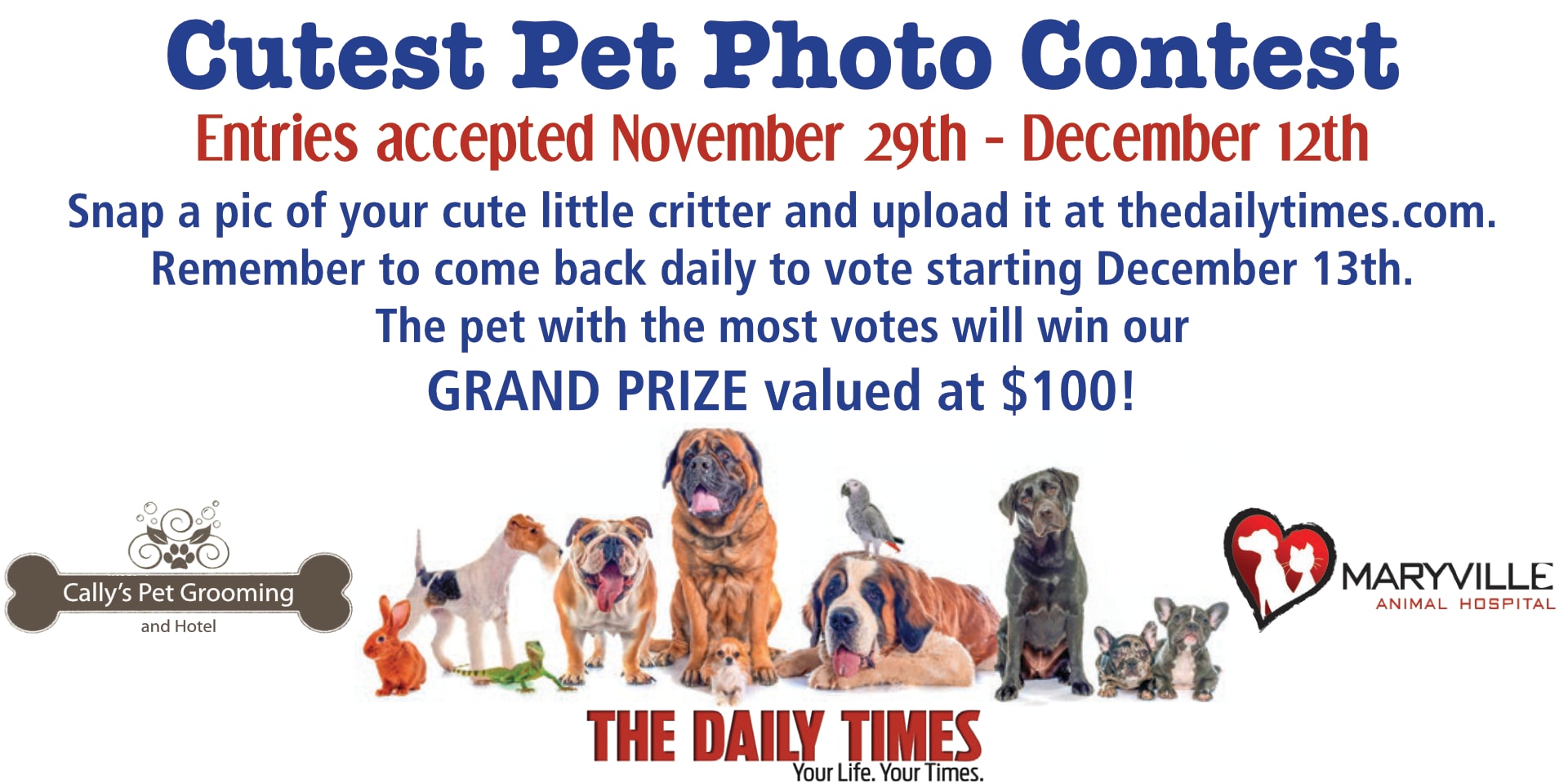 Daily Times Cutest Pet Photo Contest