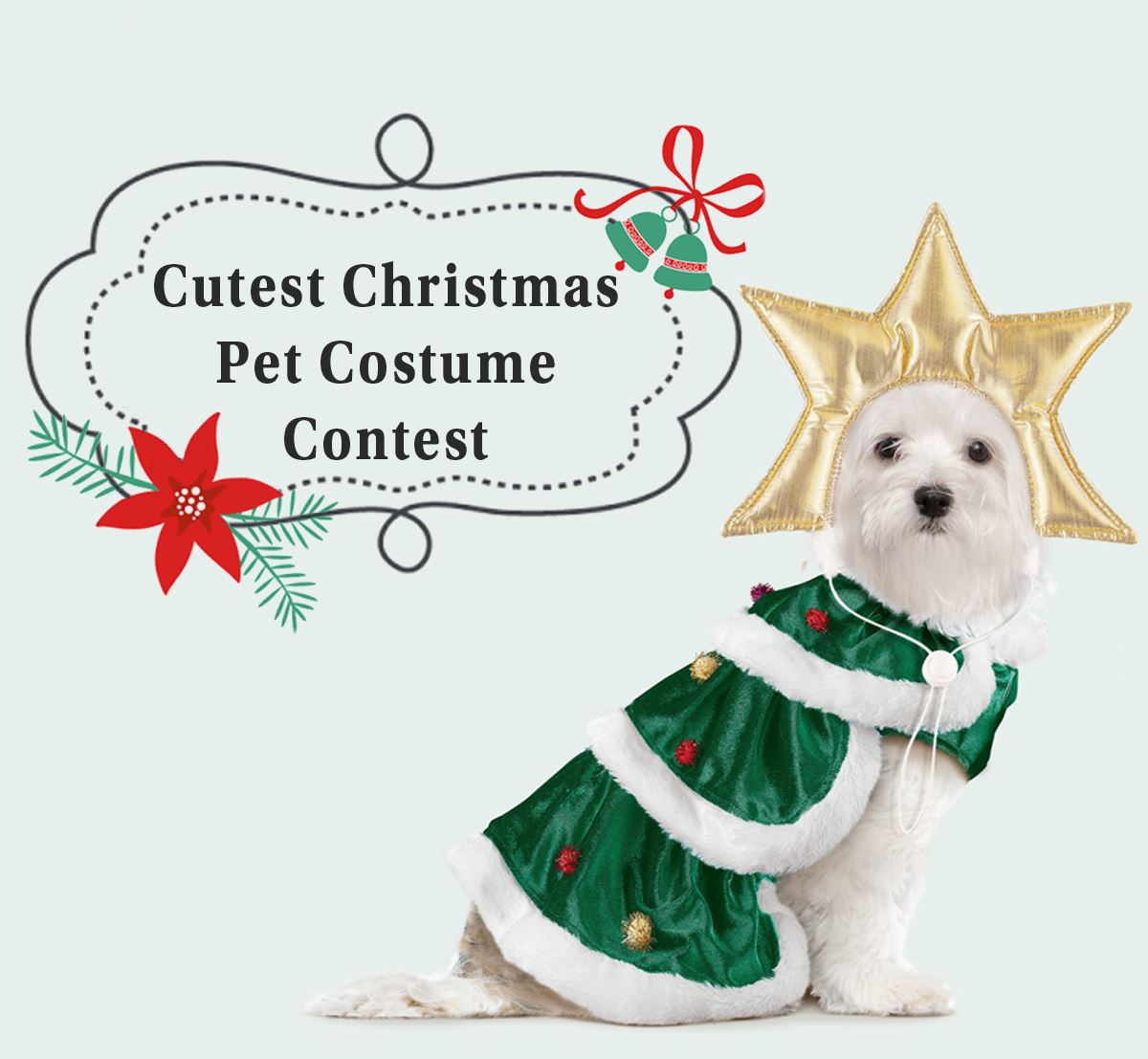 Pet Costume Contest