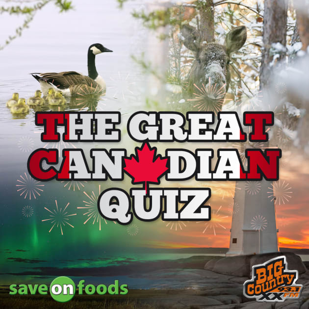 5114256?width=1200&height=630