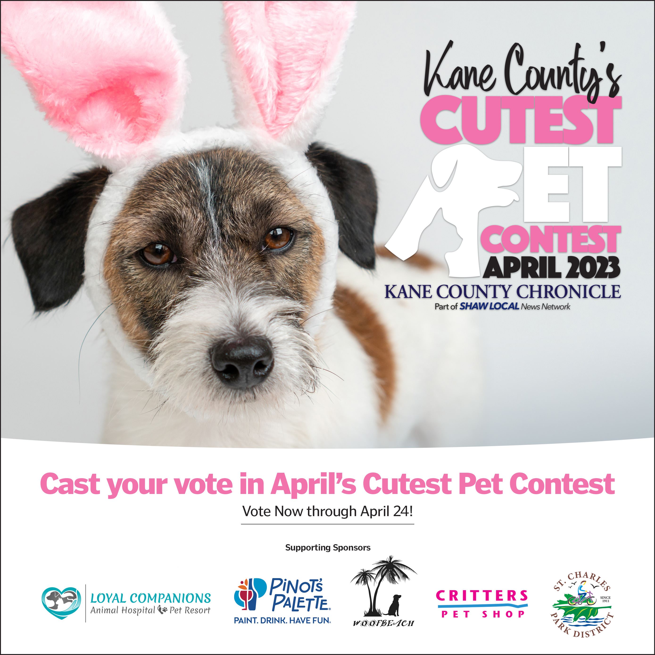 This contest has ended.