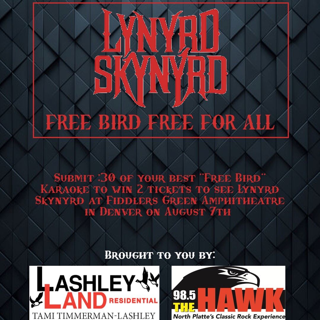 Lynyrd Skynyrd Free Bird