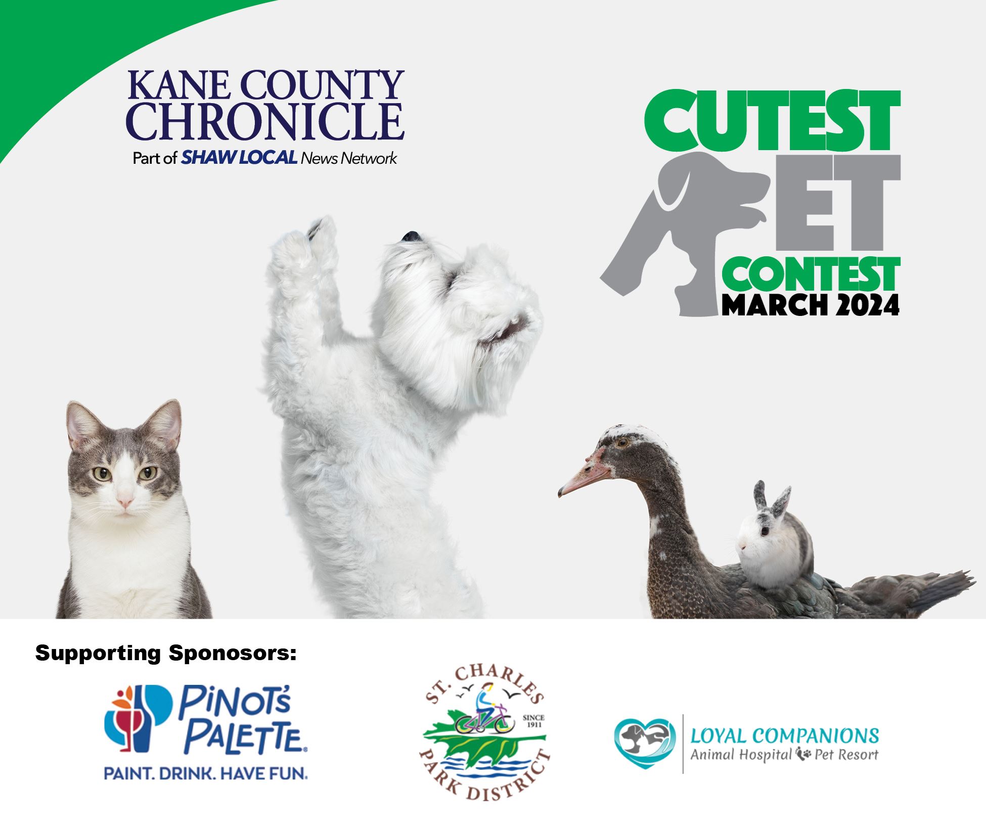 March 2024 Kane County's Cutest Pet Contest
