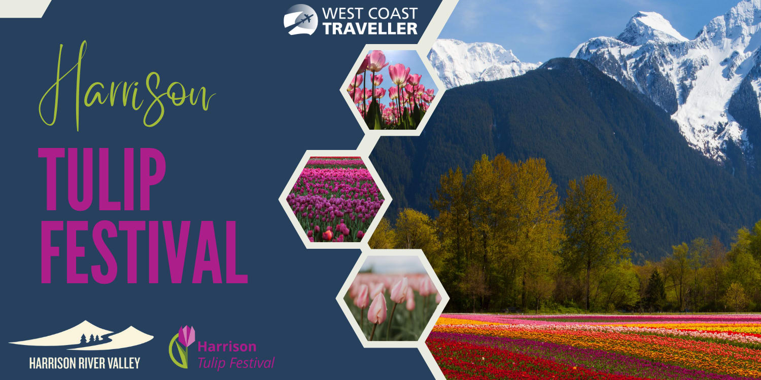 Harrison Tulip Festival by