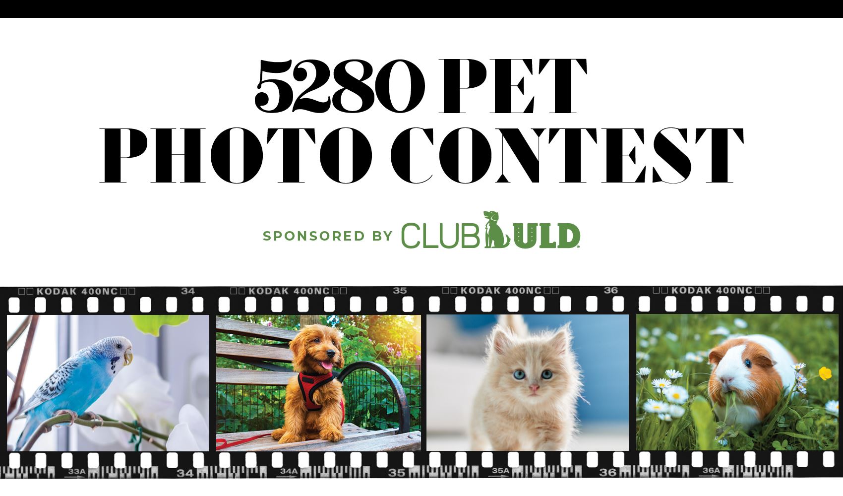 5280 Pet Photo Contest