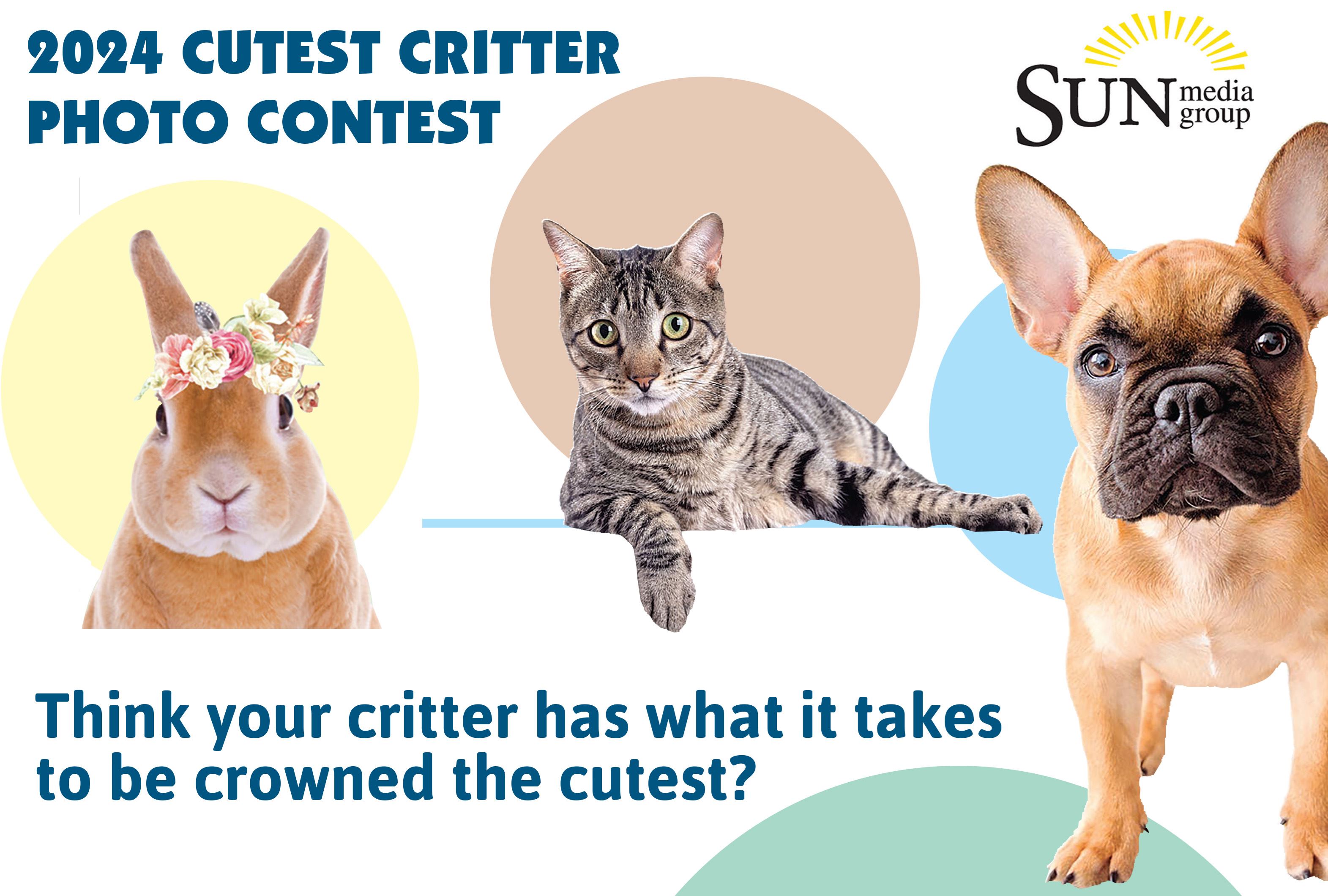 Cutest Pets Contest
