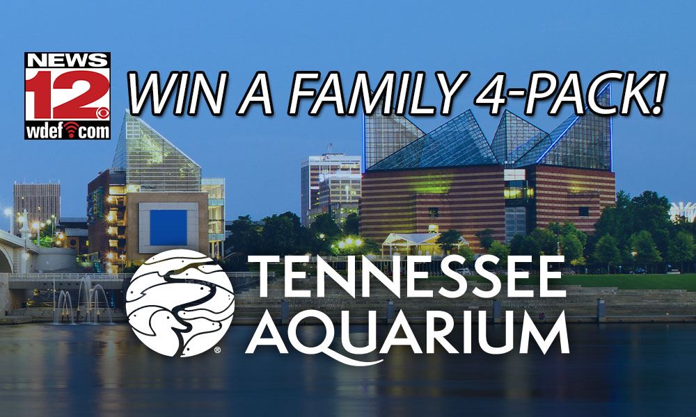 Chattanooga Aquarium Tennessee Aquarium Ocean Journey By Chermayeff