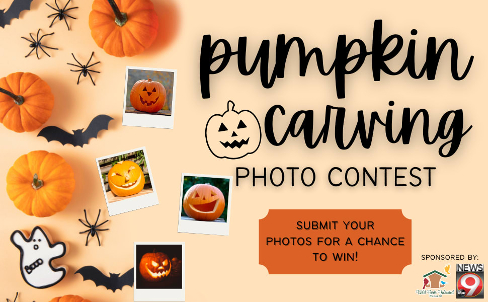 WAOW TV 9's Pumpkin Carving Photo Contest