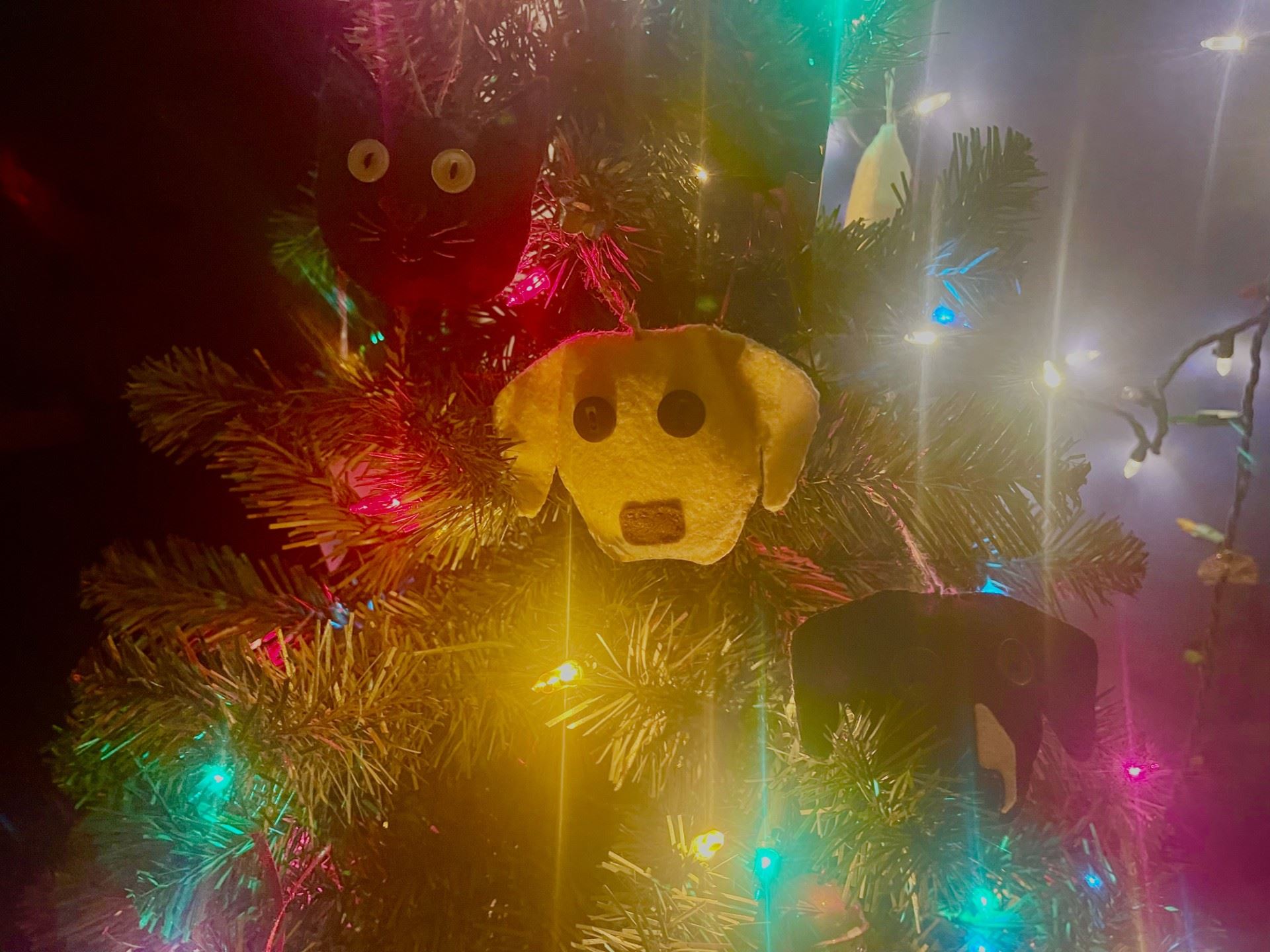 Farewell 2024 - KXLY 4 News