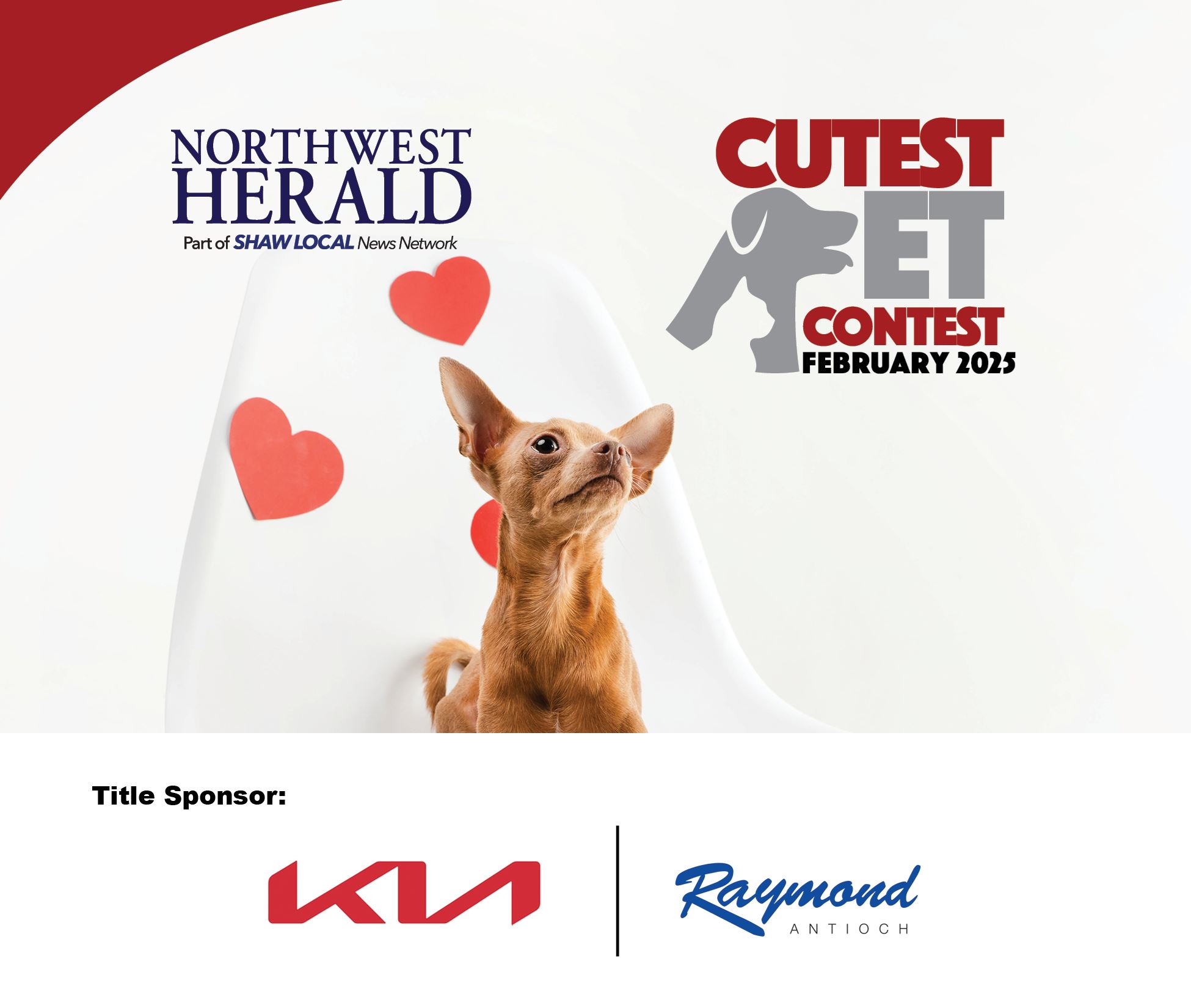 McHenry County's February Cutest Pet Contest