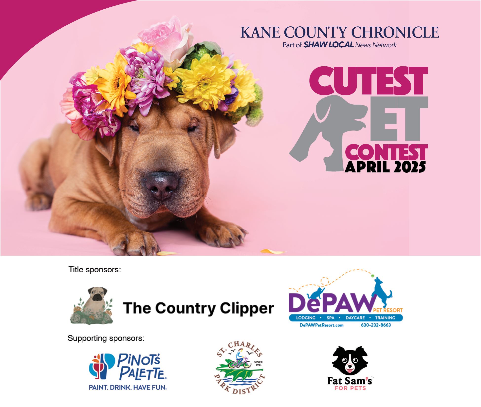April 2025 Kane County's Cutest Pet Contest