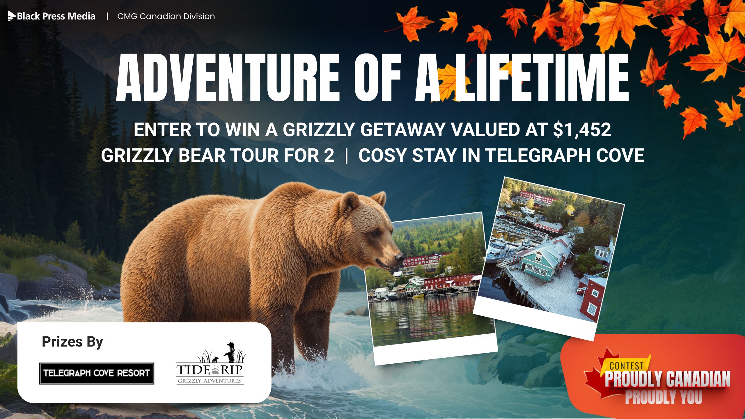 Adventure of a lifetime - bear tour + cosy stay