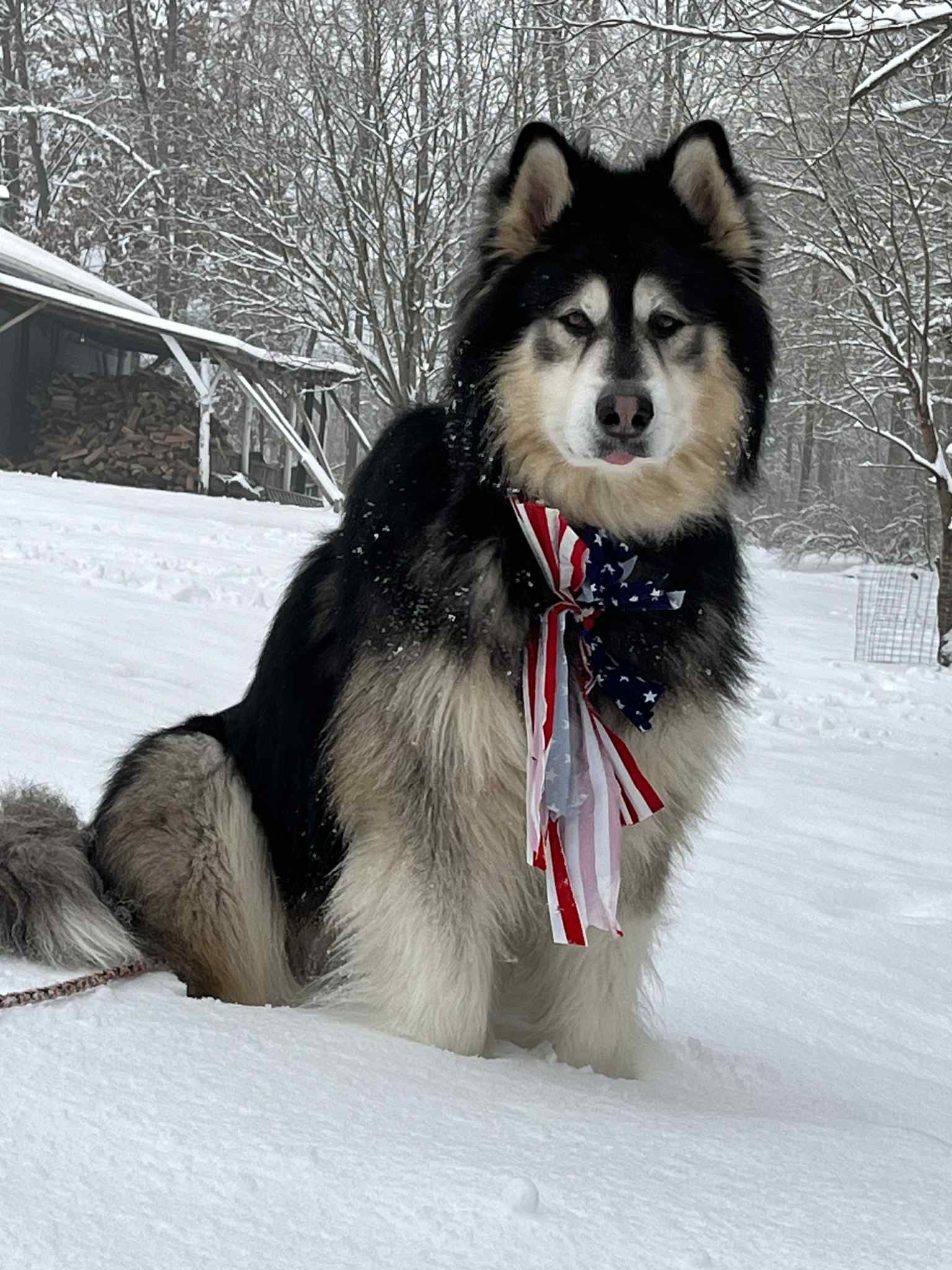 VIPIR Radar | WTAJ - www.wtaj.com