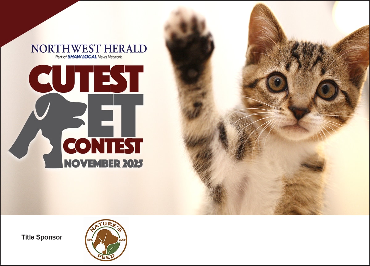 McHenry County's November 2025 Cutest Pet Contest